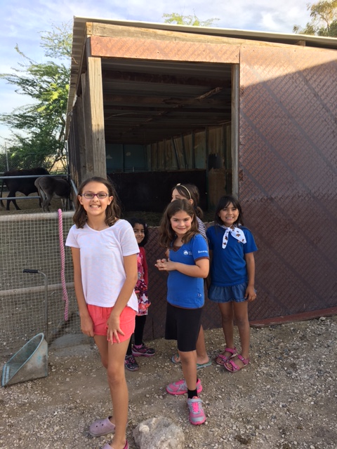 Girl Guide night in Qatar – Girl Guides of Canada Blog